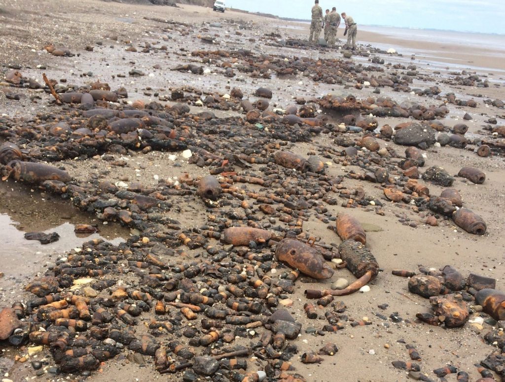 Technical Services at DIO: a varied world – Inside DIO