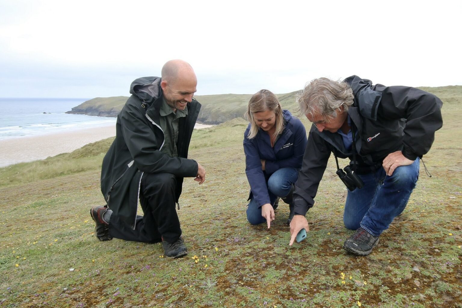 Restoring vital sand dune habitats at Penhale Training Area, Cornwall ...