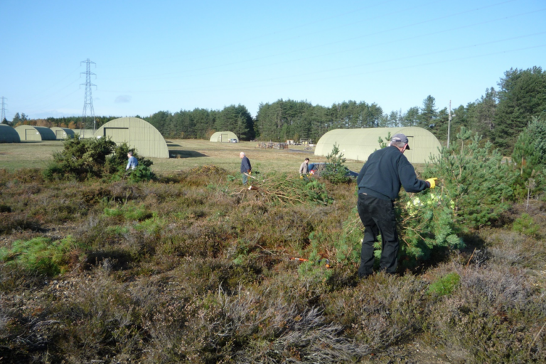 A helping hand for reptiles and amphibians on the Defence estate ...