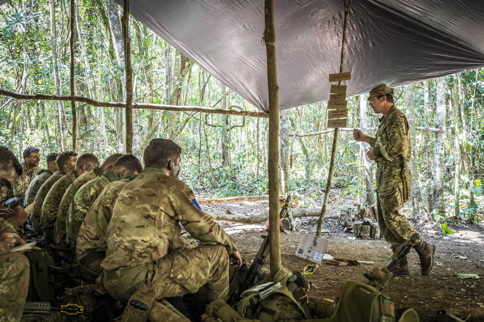 In the jungle: Operating alongside the flora and fauna of Belize ...